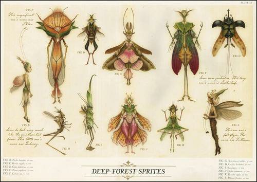 How to Throw a Fairies Themed Midsummer Night Dream Party (Quarantine ...